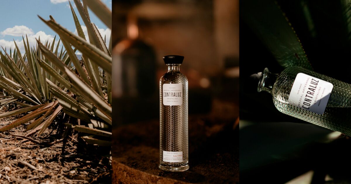 Estos famosos tienen su propia marca de mezcal