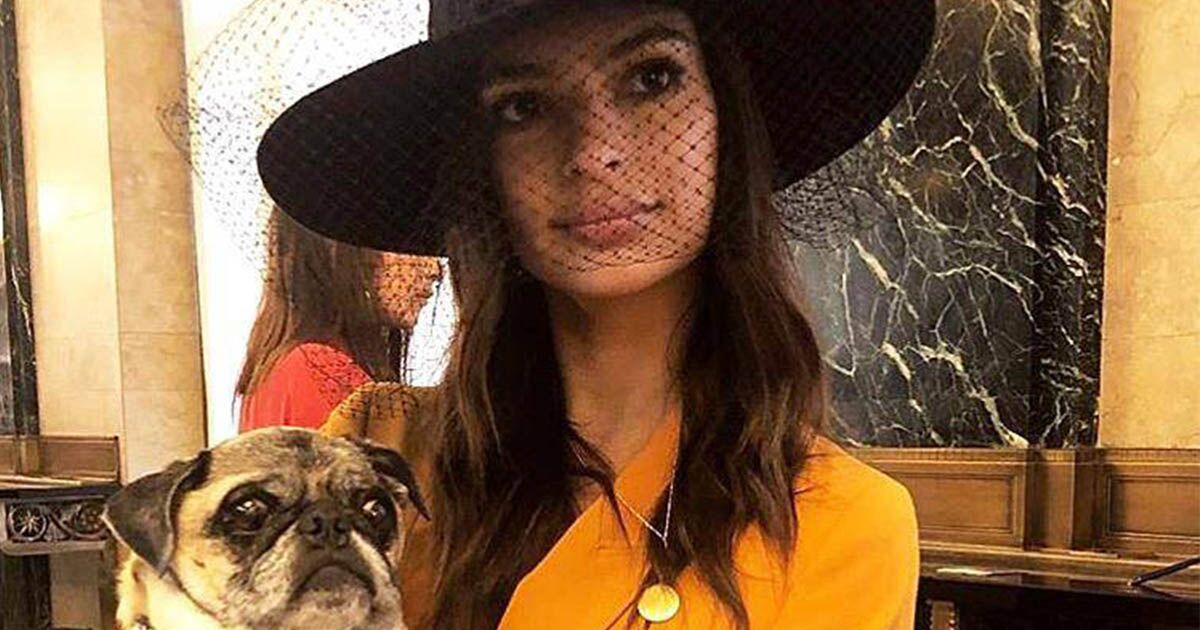 Emily Ratajkowski es arrestada durante una protesta en Washington