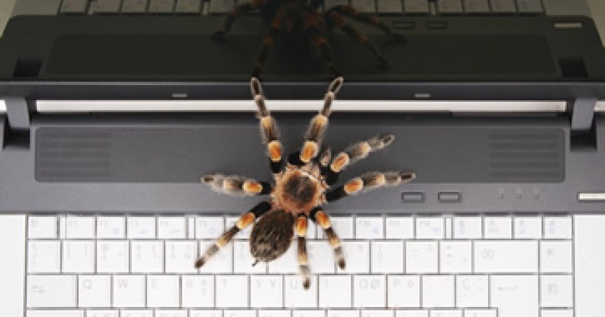 México, el mayor ‘cliente’ del megavirus