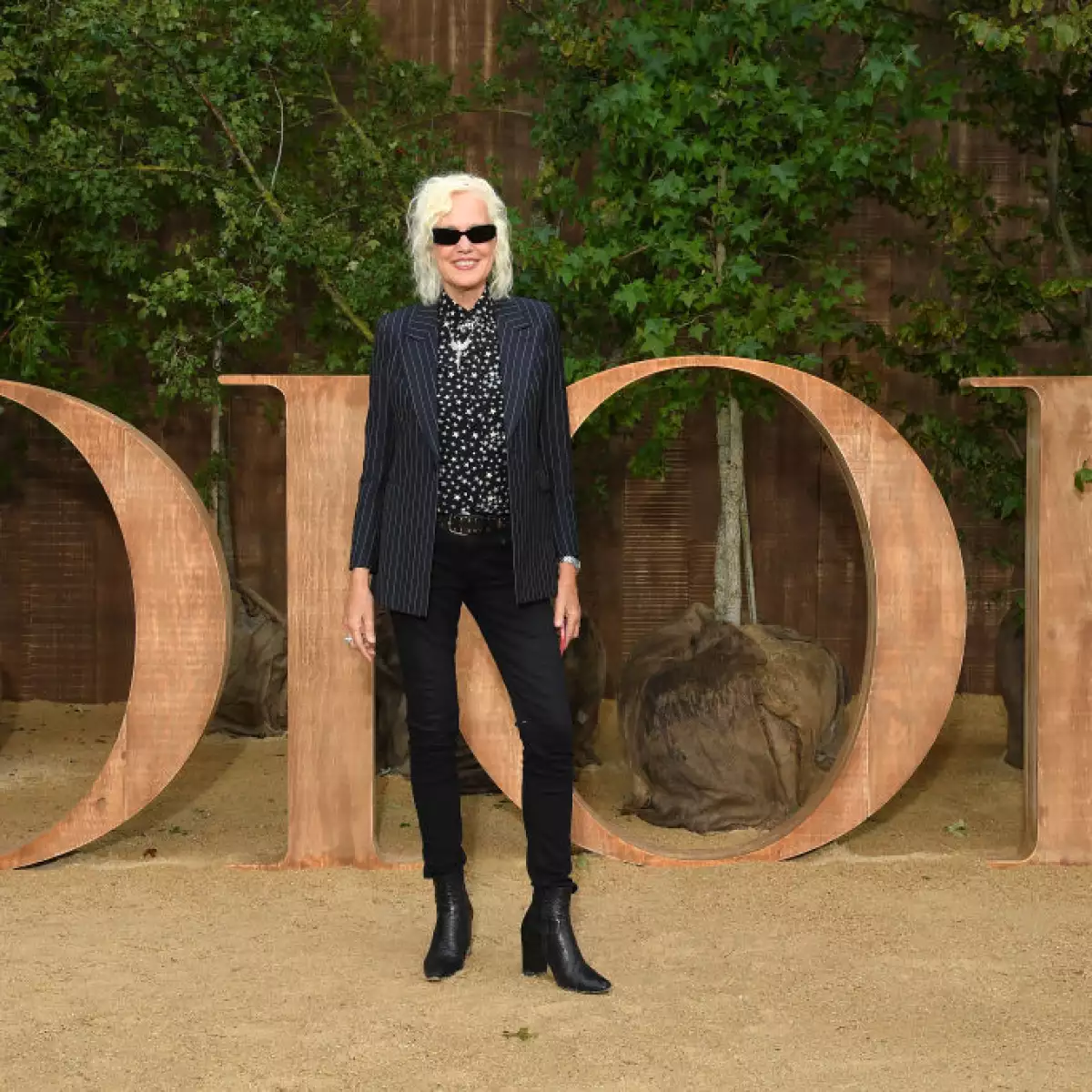 Esta es la A-List que disfrutó de la nueva colección de Dior