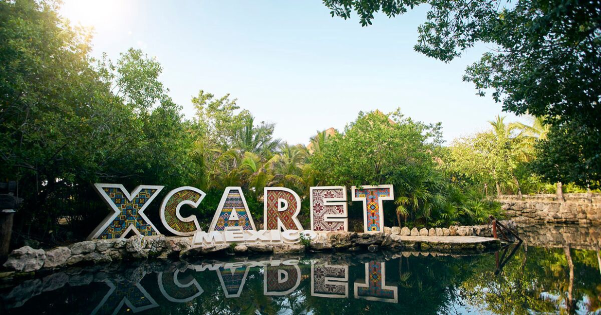 El choque de las 'X': ¿Qué pesa más, el cosmos de Musk o las raíces de ...