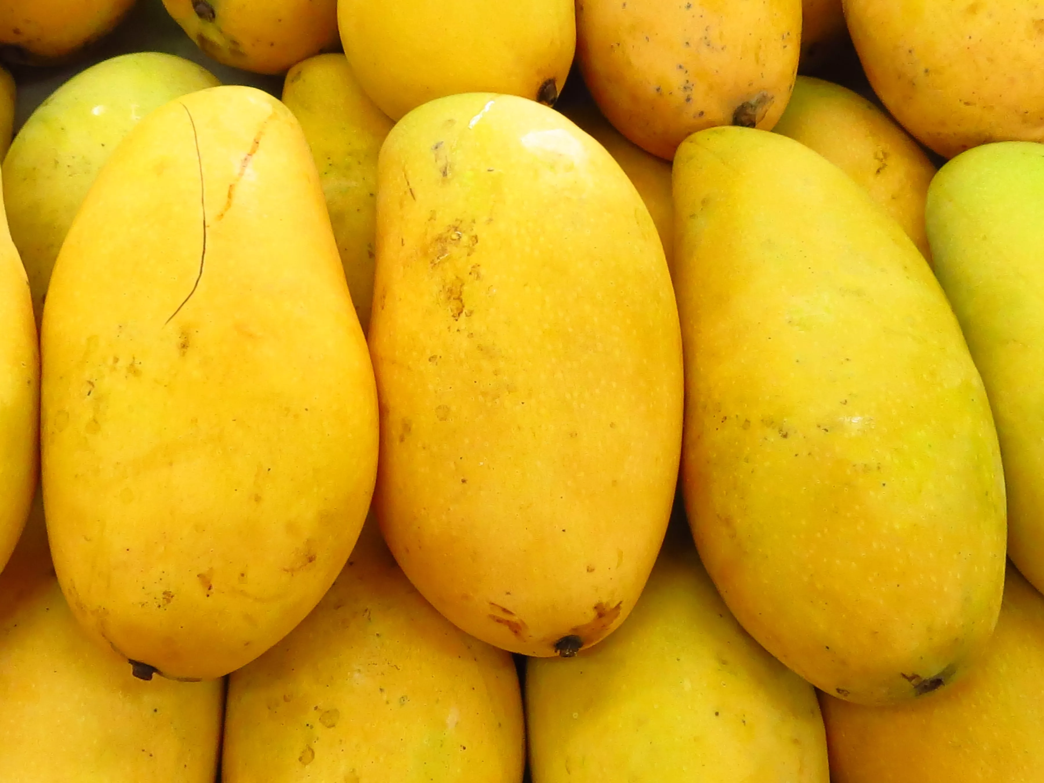 La historia del mango Ataulfo: ¿cuál es su origen y por qué se llama así?