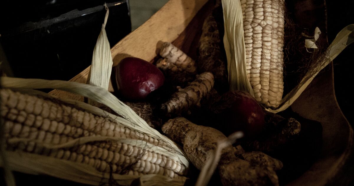 Sikwa, la apuesta por la gastronomía indígena de Costa Rica