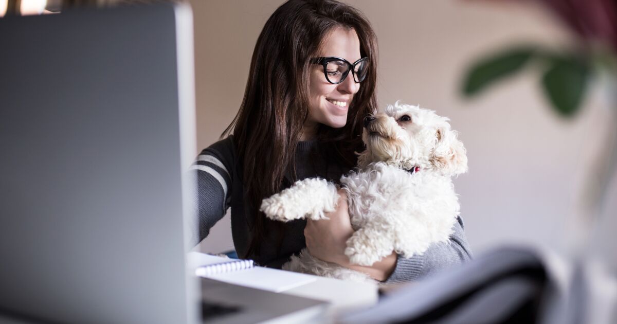 La nueva medición para la inflación tendrá su toque 'millennial'