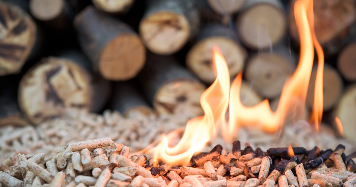 Pellet México le entra al reto de crear un nuevo mercado verde