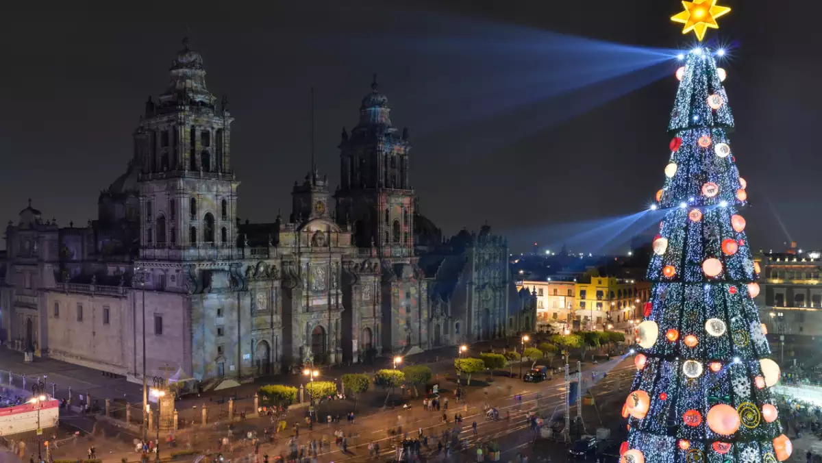 ¿De dónde vienen los árboles de Navidad en México?