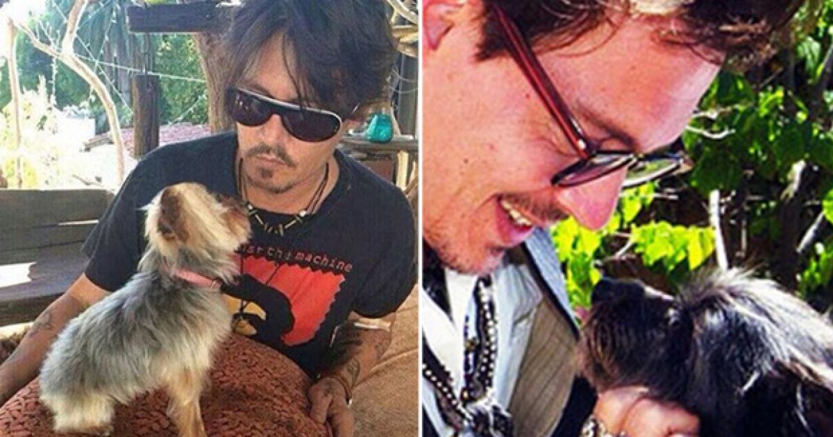 ¿Por qué Australia amenaza con matar a los perros de Johnny Depp?