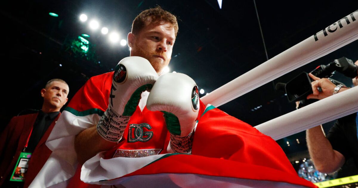 El Canelo Álvarez tendrá su propia serie animada