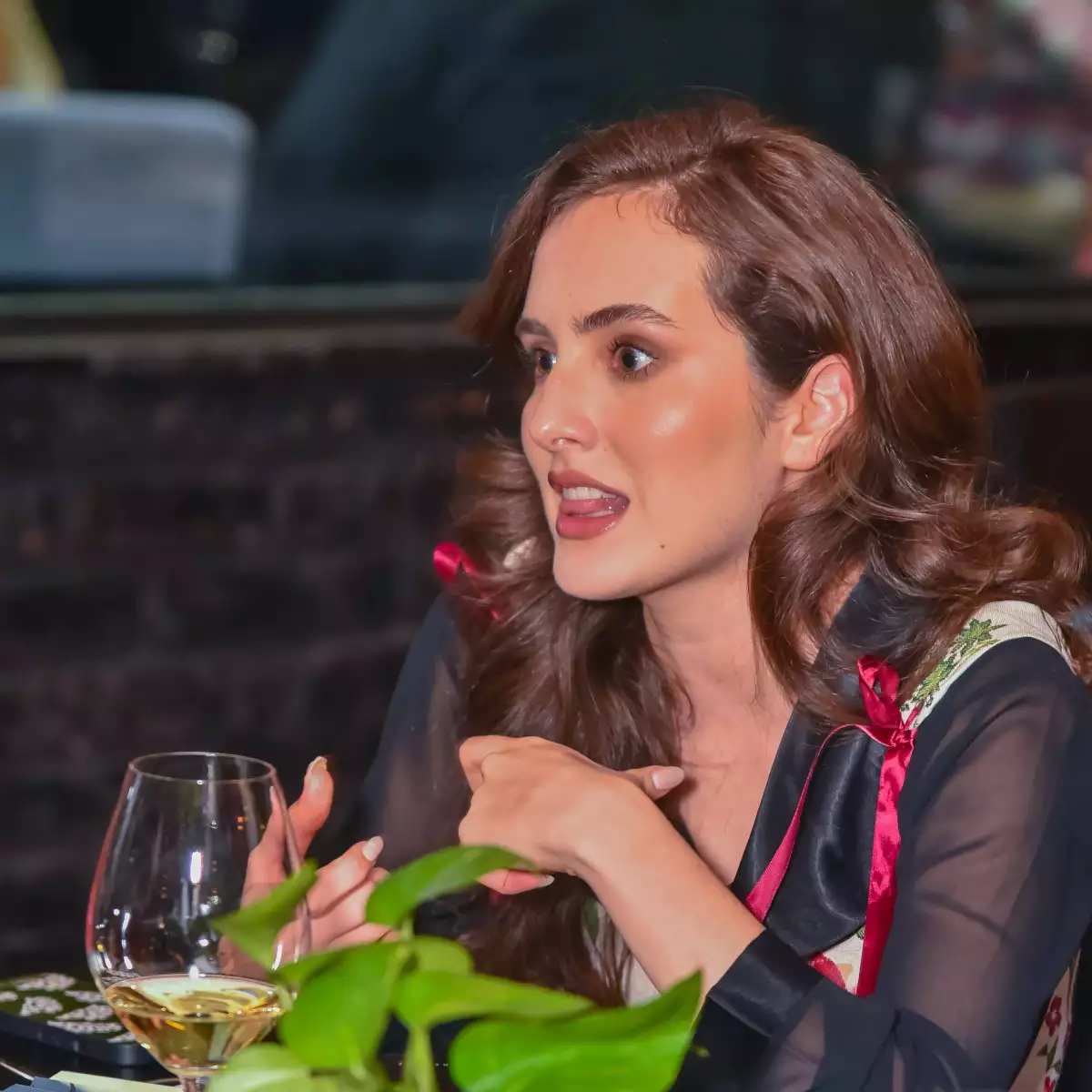 Ximena Lamadrid y Stephanie Arouesty lanzan The ABC of Beauty and Fashion.