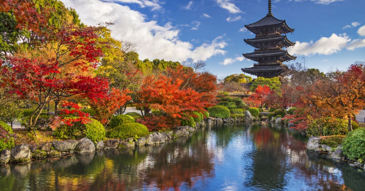 Los mejores spots para disfrutar del momiji en Kioto