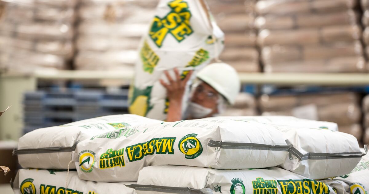 Gruma resiente menor volumen en EU y debilidad del peso en el arranque del año