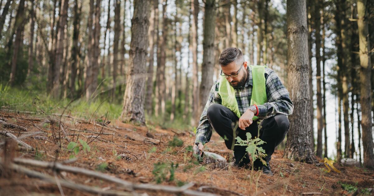 ¿Cuánto gana un biólogo en México? Este es el sueldo promedio
