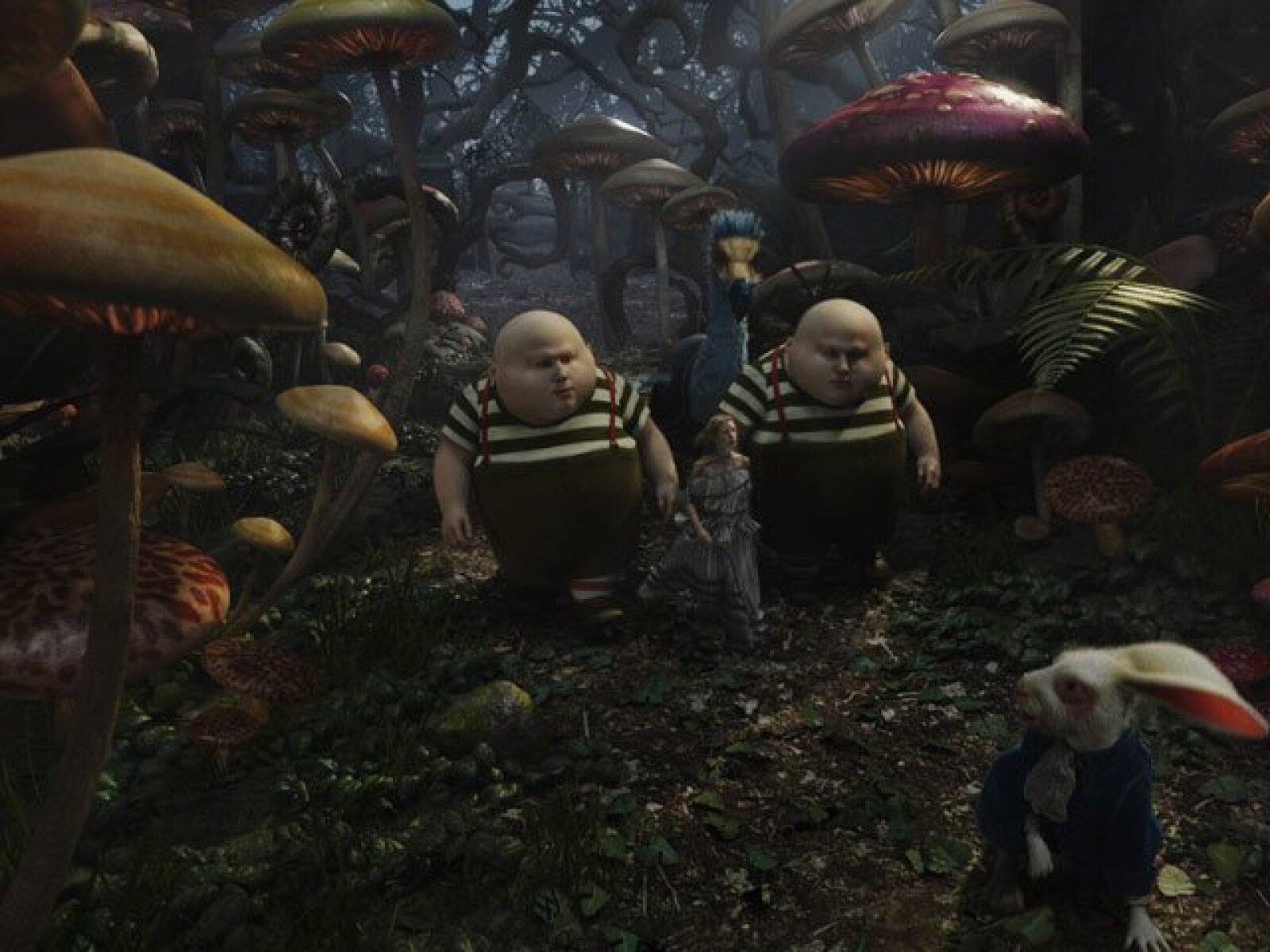 Nuevas imágenes de Alicia en el país de las maravillas