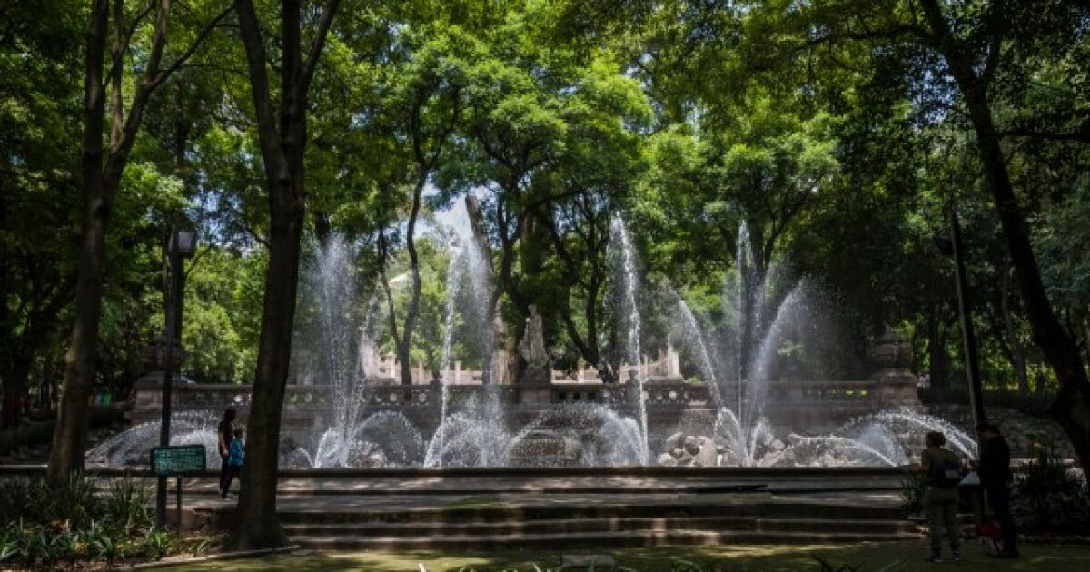 ¿Quieres ir a los bosques de la CDMX? Estas son las reglas que debes de ...