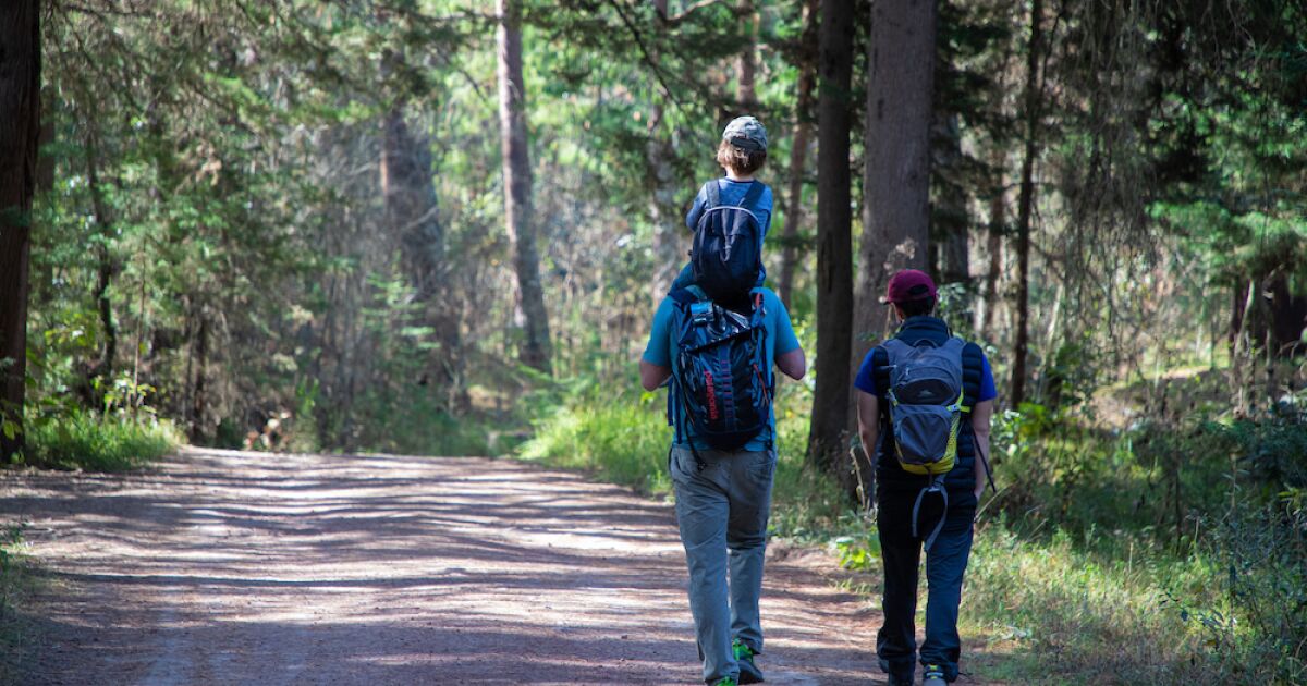 Cool Dads: la plataforma que planea experiencias inolvidables entre ...