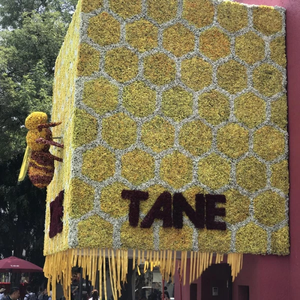 Polanco en flores. Así se ve el festival de flores y jardines 2019