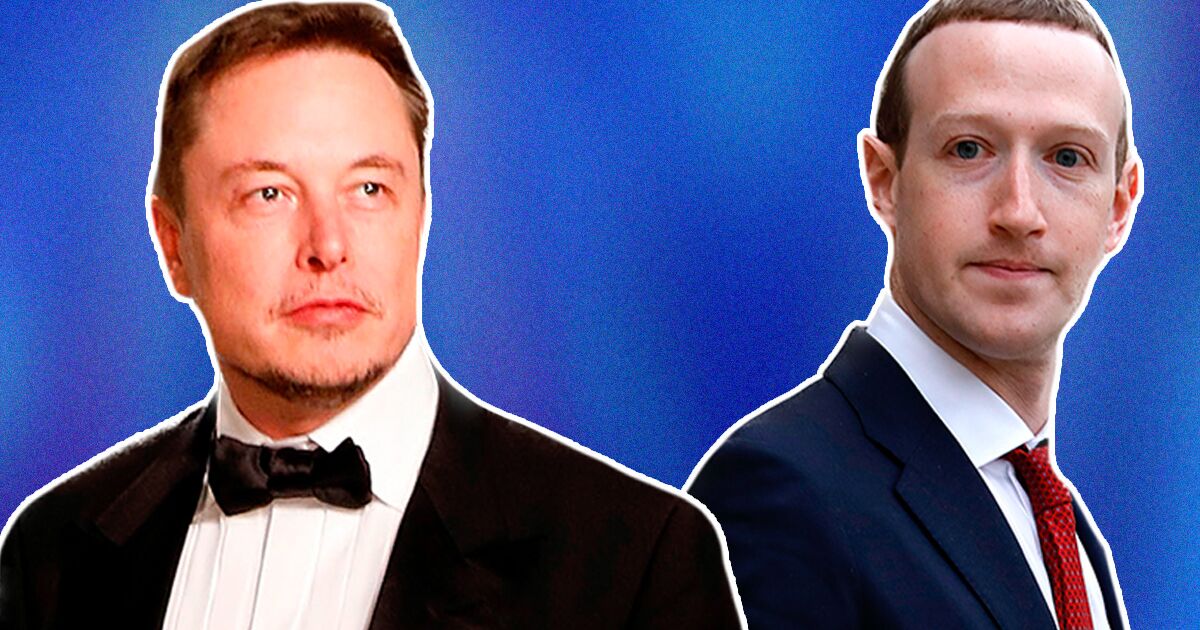 ¿Pelea del siglo? Mark Zuckerberg y Elon Musk se enfrentarán en el ring