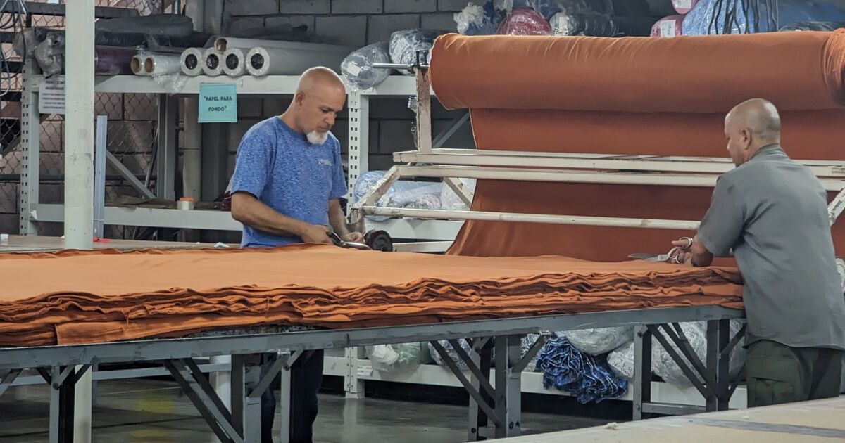 Maqui, la start-up que busca reducir el impacto ambiental en la maquila ...