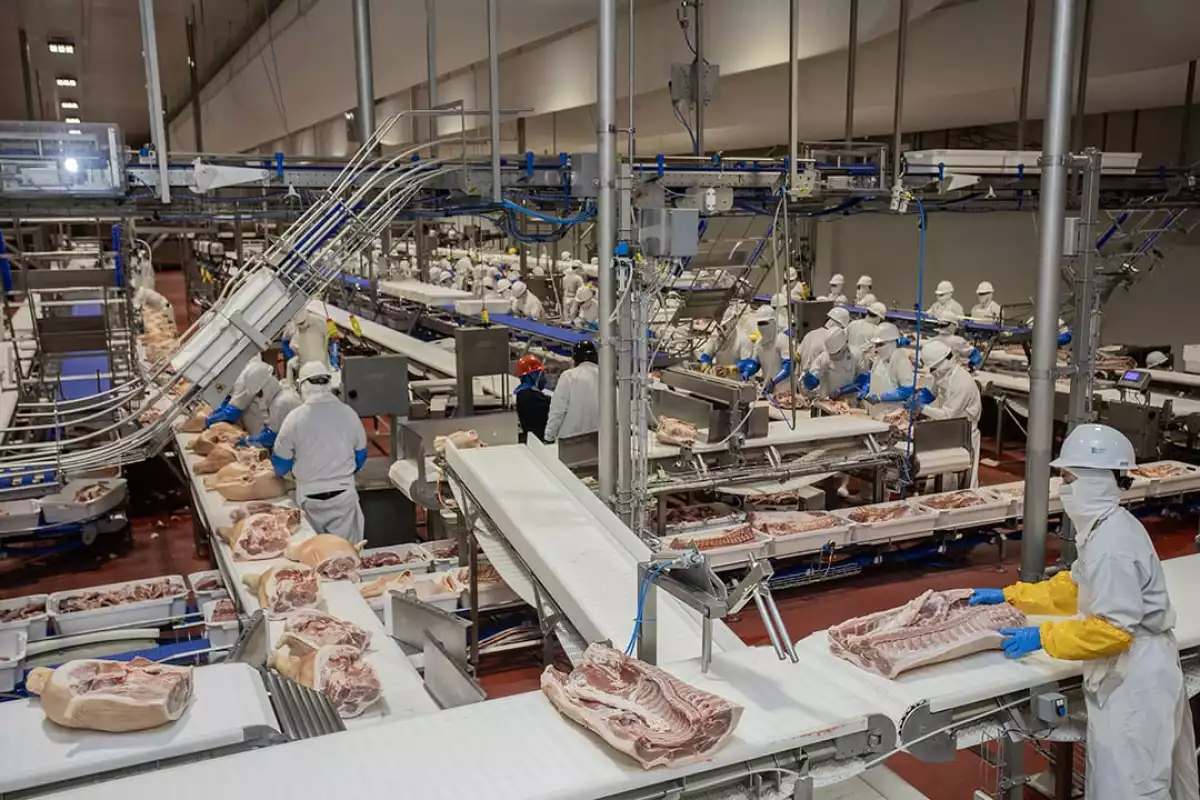 Granjas Carroll de México apuesta por elevar la producción de carne de ...