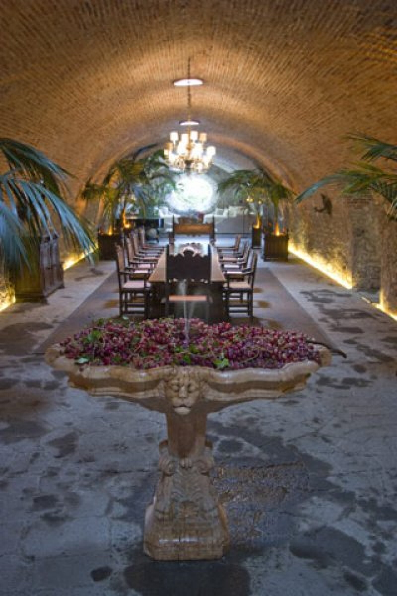 Salinas Pliego bautiza a sus gemelos