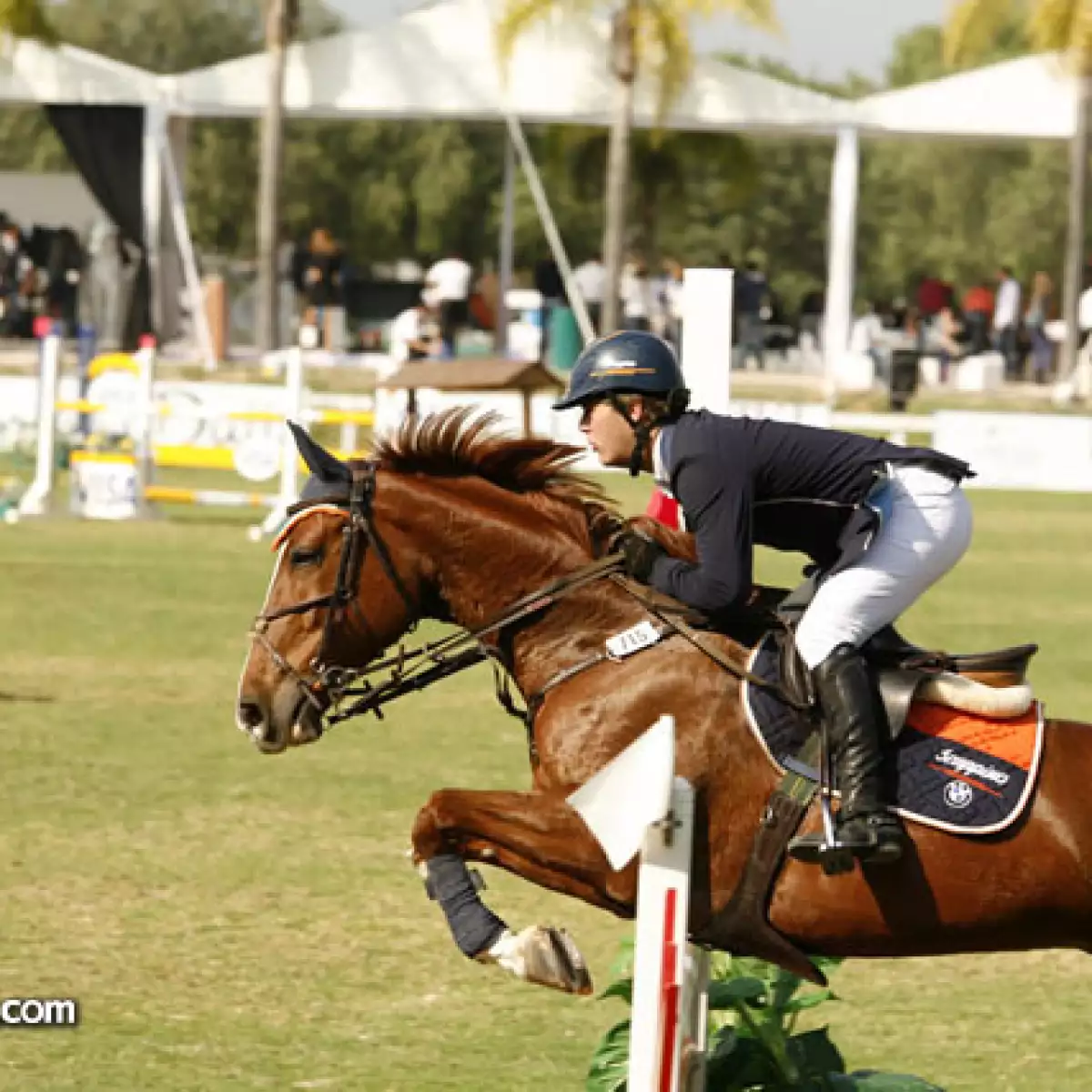 Disfrutan la final del Campeonato Nacional de Salto