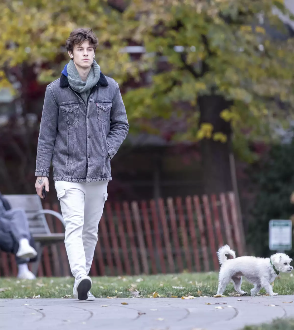 Solo, con cara triste y en el frío de Canadá… así anda Shawn Mendes ...