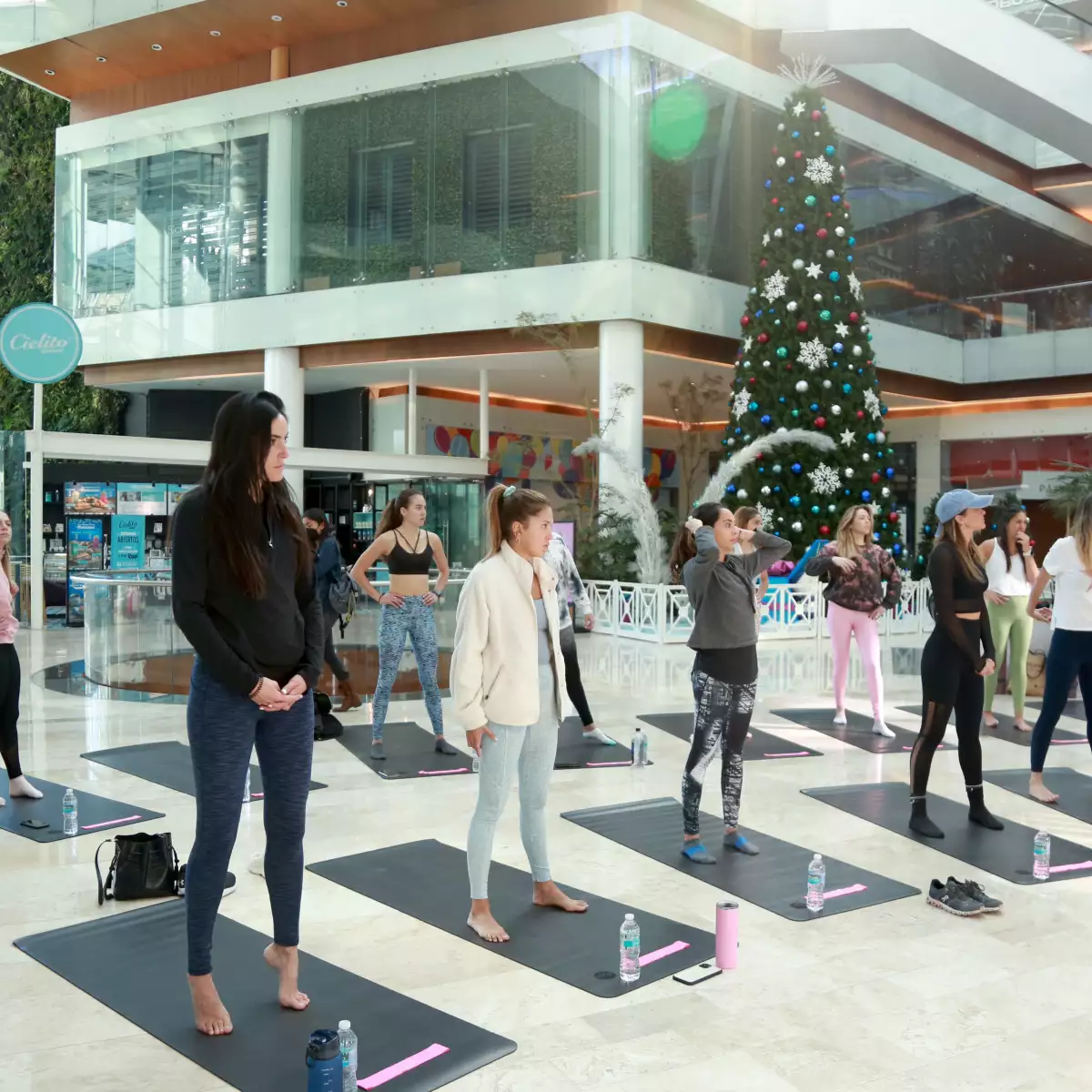 Alice Non Stop imparte clase de la mano de Asani