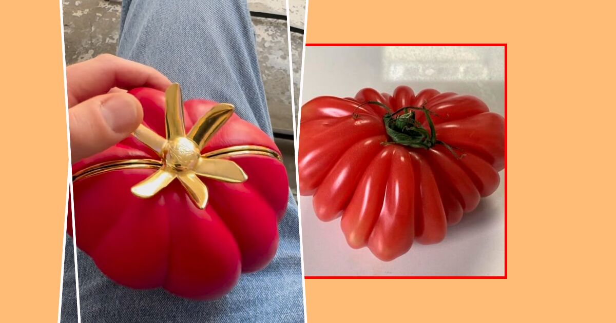 Jonathan Anderson hace realidad el meme del tomate Loewe convirtiéndolo ...