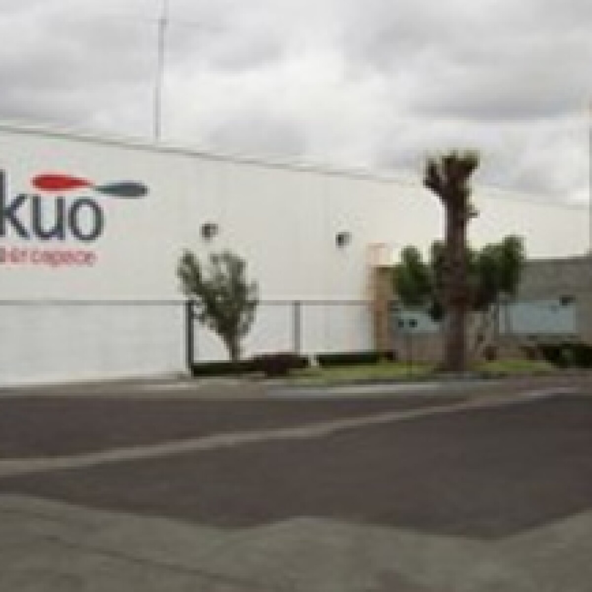 Grupo Kuo estrenará director general en 2016
