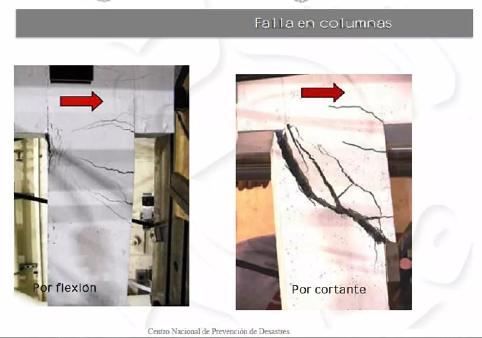 Fallas estructurales en columnas que debes identificar