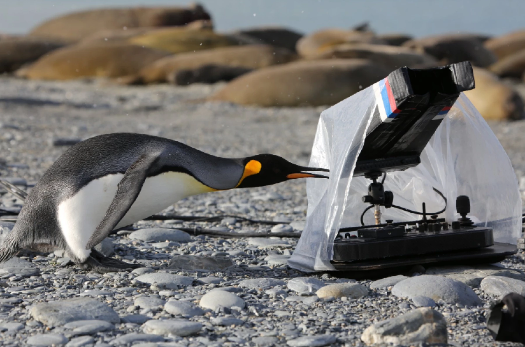 5 documentales que no te puedes perder en el Día Mundial del Medio Ambiente