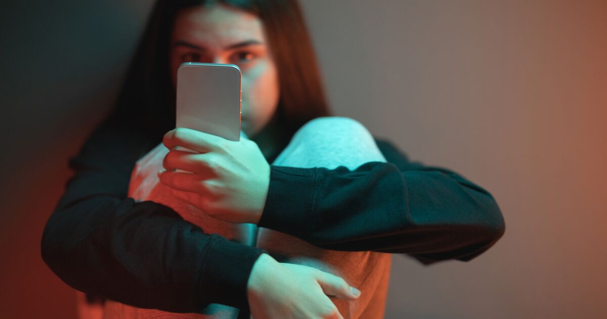 El Inegi revela cuál es la red social preferida por los ciberacosadores