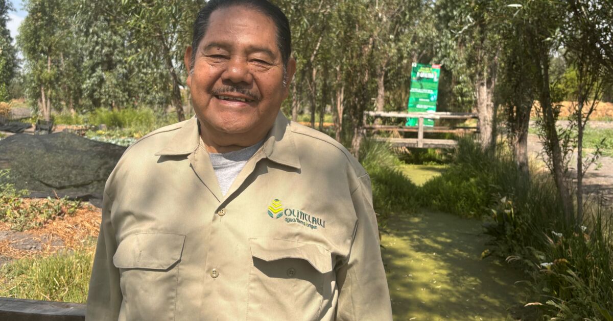 ¿Qué tiene que ver la extinción de ajolotes en Xochimilco y el gobierno ...