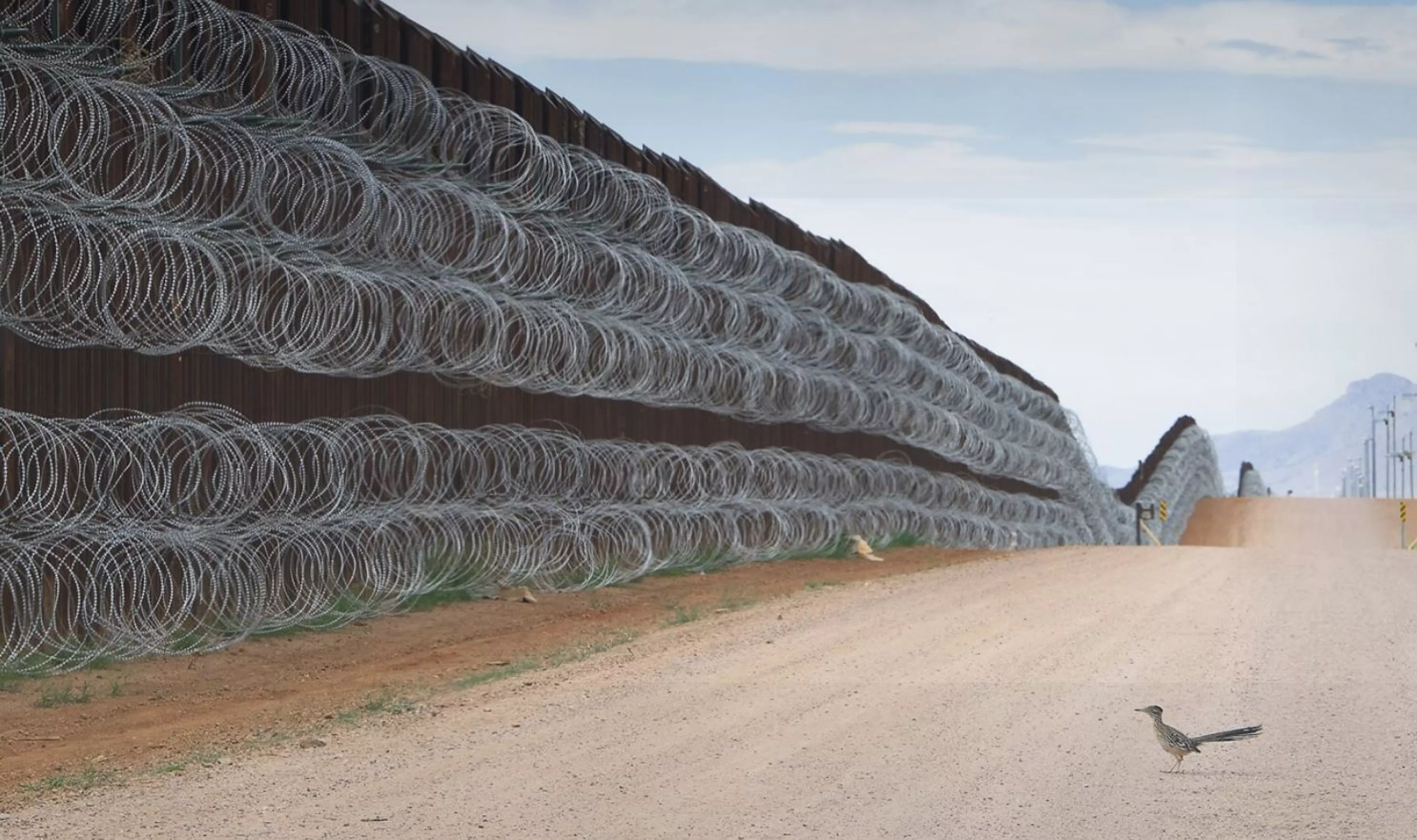 Alejandro Prieto, el único mexicano nominado al World Press Photo 2020
