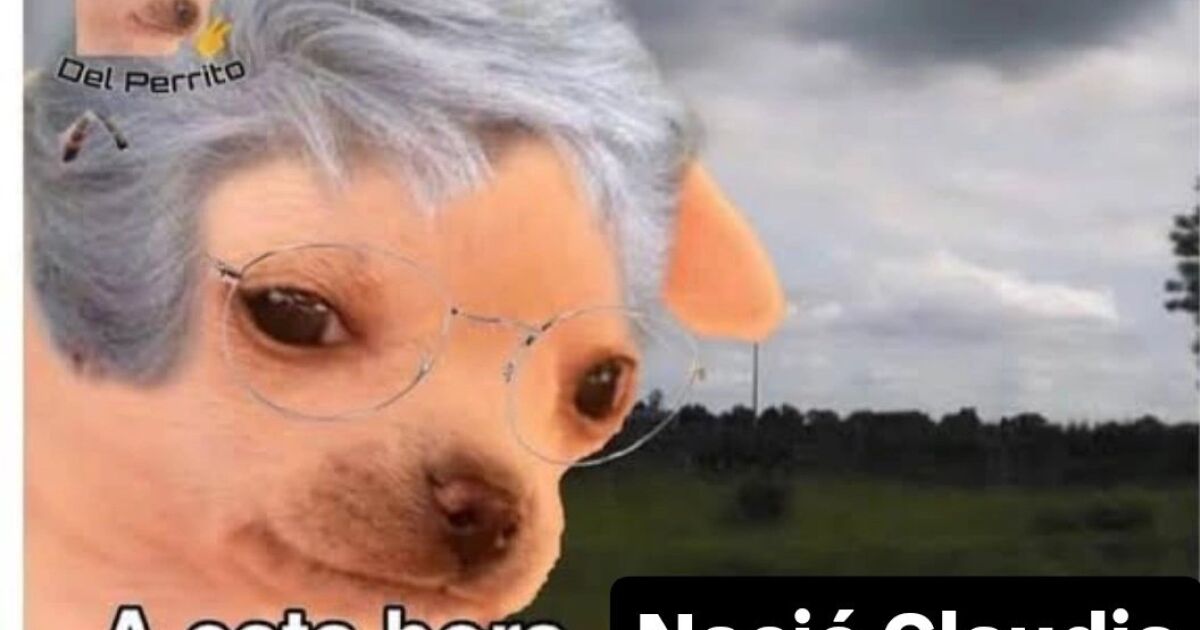 Los mejores memes de la toma de protesta de Claudia Sheinbaum como ...