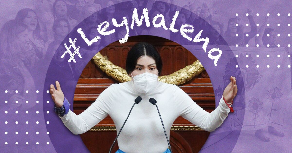 Ley Malena La Iniciativa Para Sancionar Los Ataques Con ácido En México