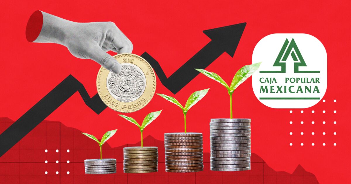 Cómo invertir en la Caja Popular Mexicana: Estas son las opciones que ...