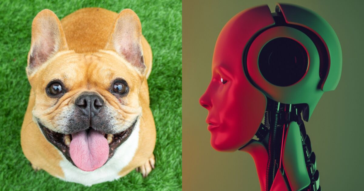 La IA apenas es más inteligente que un perro, afirma un científico de Meta