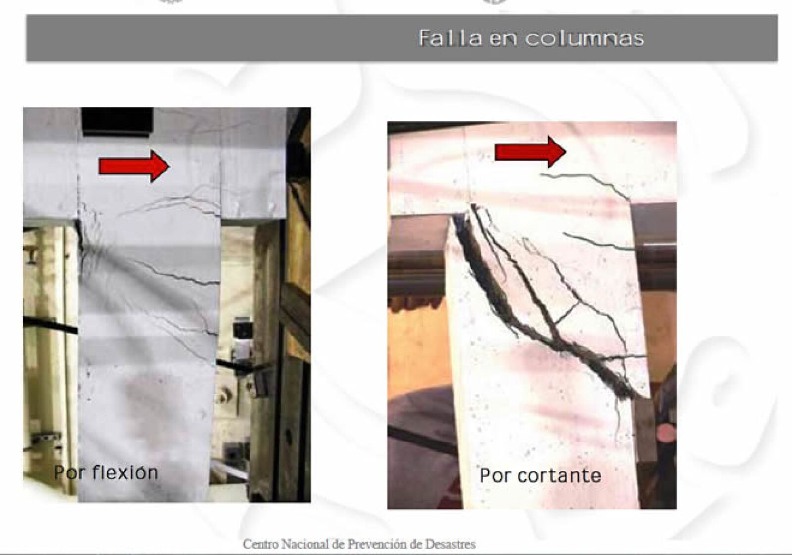 Fallas estructurales en columnas que debes identificar