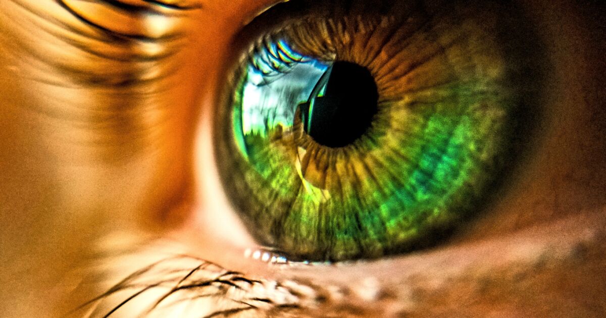 Científicos afirman descubrir el 'color olo', nunca antes visto por el ...