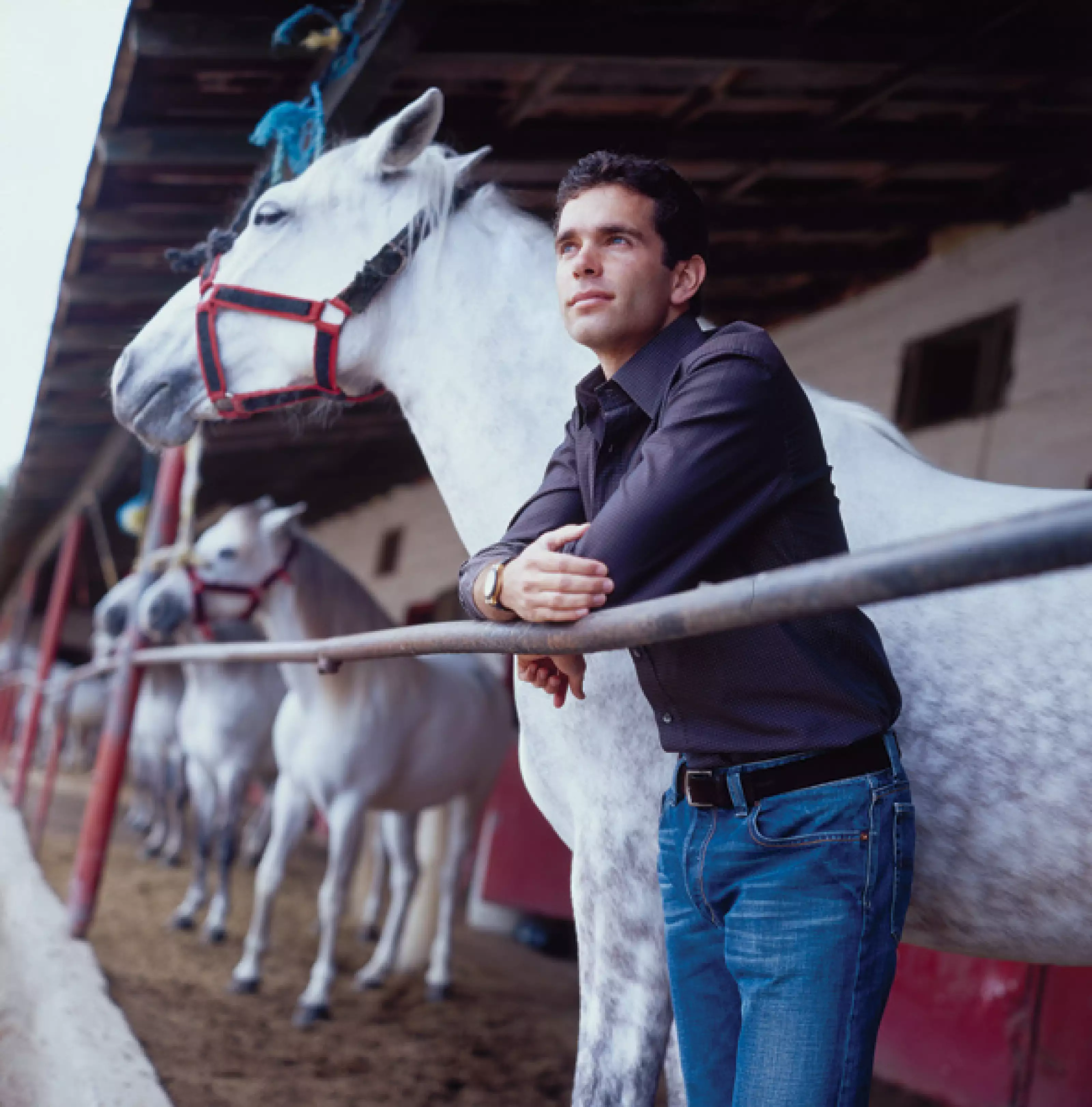 El Zoo de los Hank en Tijuana
