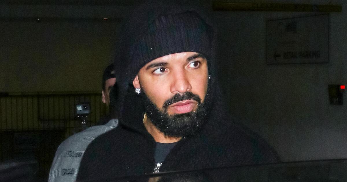 Drake's Funny Reaction To 'fighting' With A Bee That Went Viral