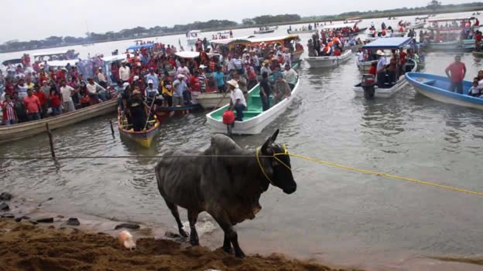 La festividad de La Candelaria en Veracruz comienza con el 'embalse de ...