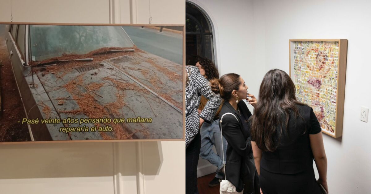 Persona, la exposición de Galería Art House que confronta la realidad ...