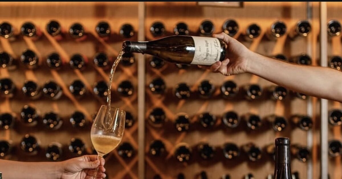 CATAMUNDI celebra 10 años llenos de verstilidad en la CDMX