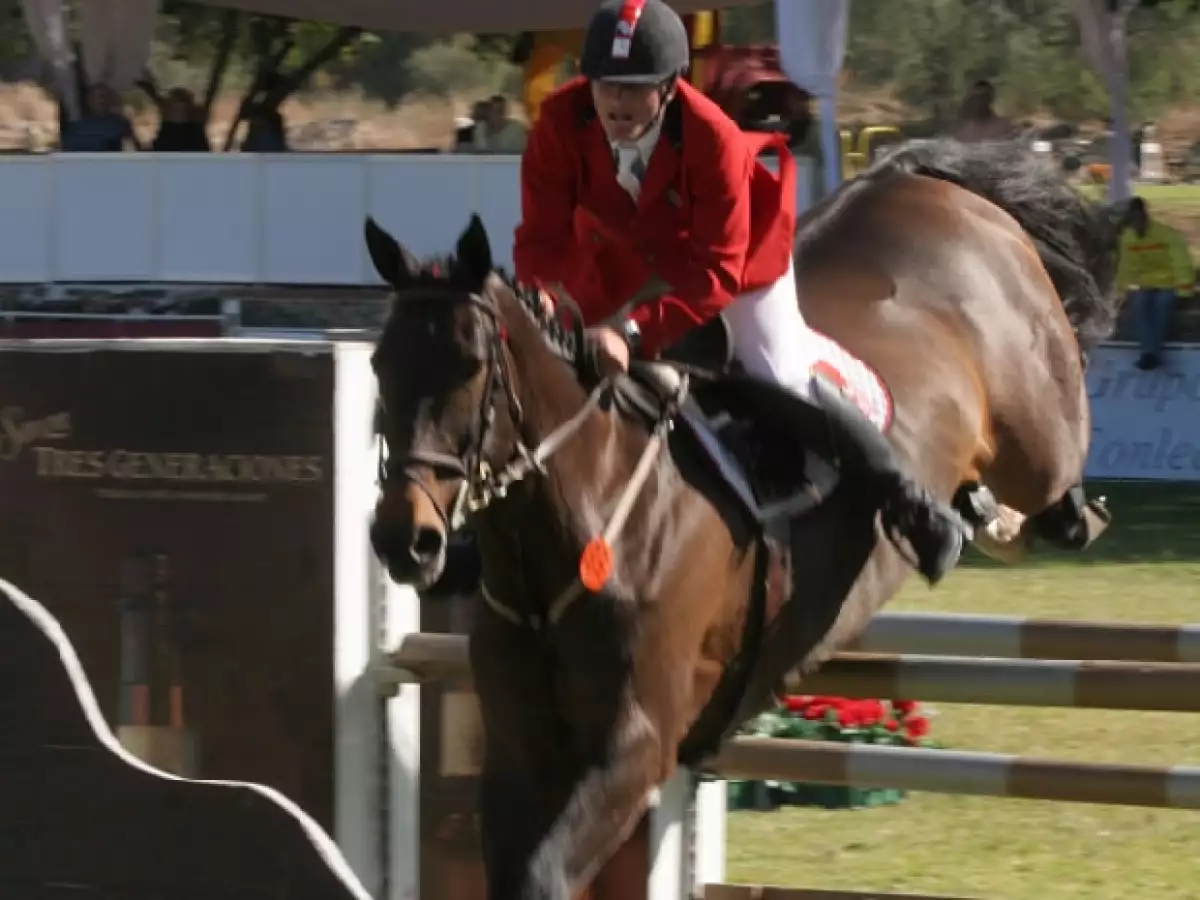 Alberto Michán, quinto lugar en equitación