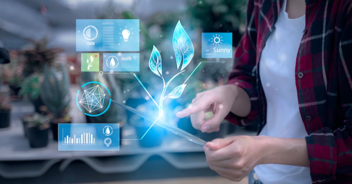 Claves para el futuro del sector fintech en México