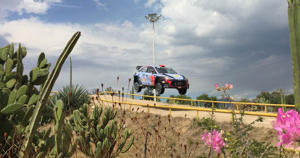 Así se vive un día como copiloto profesional de rally