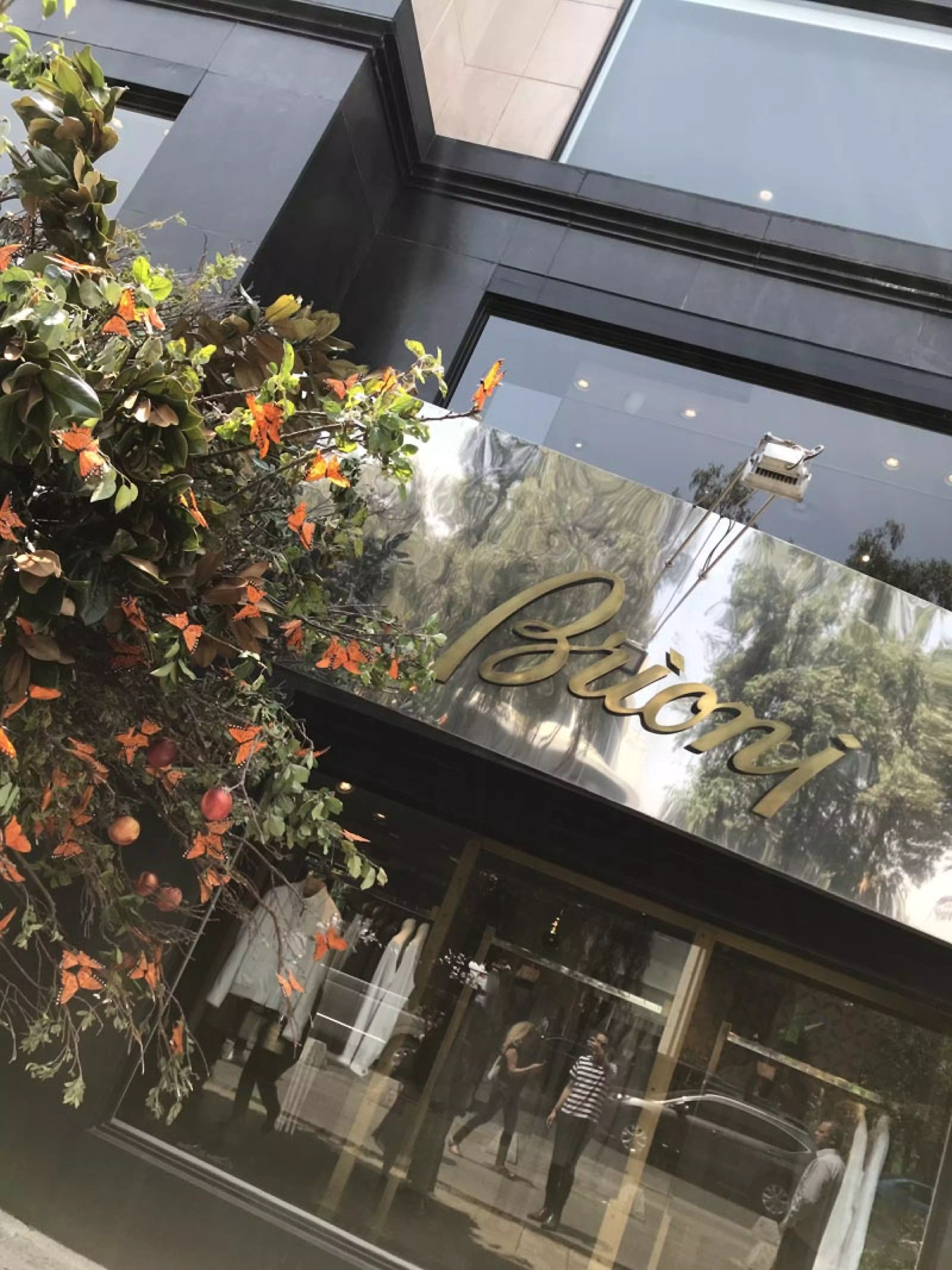 Polanco en flores. Así se ve el festival de flores y jardines 2019