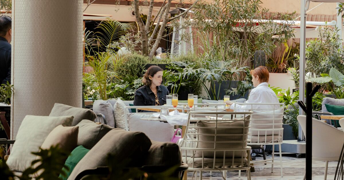 Andaz Mexico City Condesa inauguró el nuevo #SundayBrunchDay